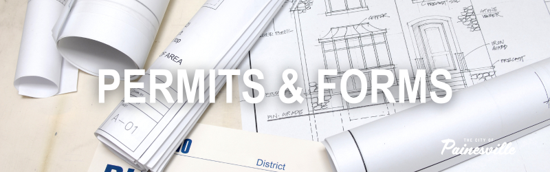 Village of Wausaukee - Village Forms